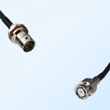 BNC Front Mount Bulkhead Female - Mini BNC Male Cable Assemblies